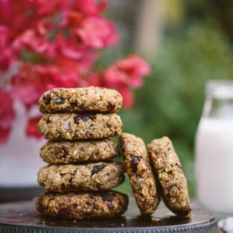 Fully Loaded Breakfast Bars {Vegan} - Foolproof Living