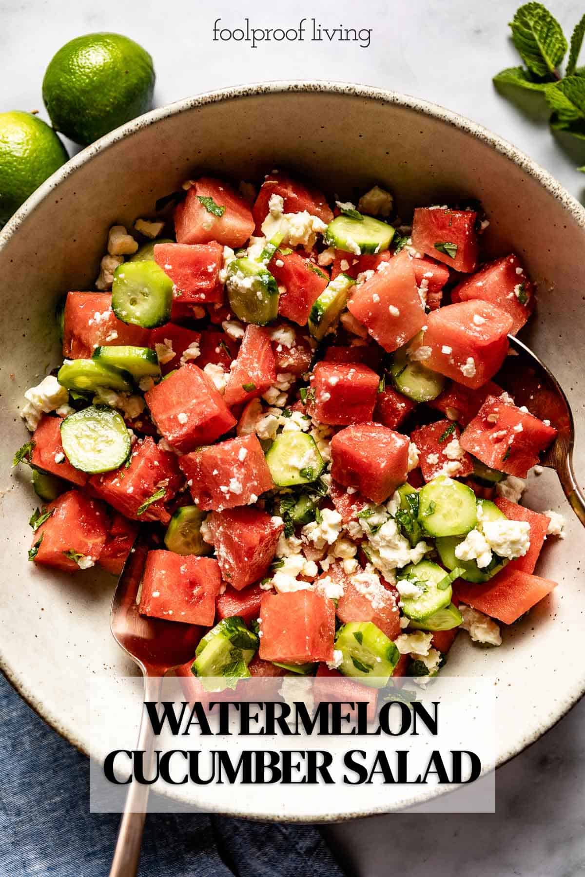 Watermelon Cucumber Salad with Mint and Feta - Foolproof Living