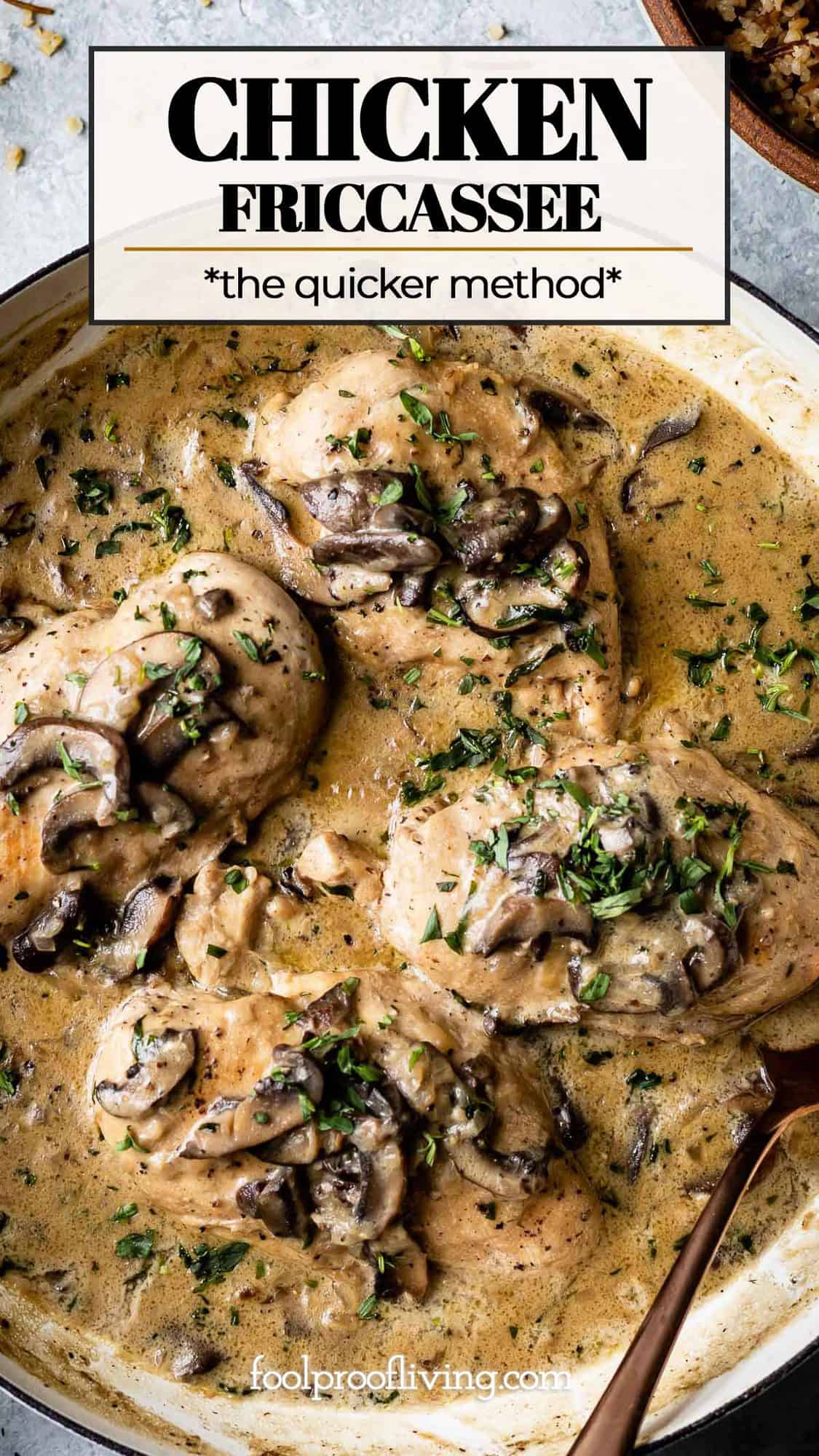 Chicken Fricassee - Quick Creamy French Stew - Foolproof Living