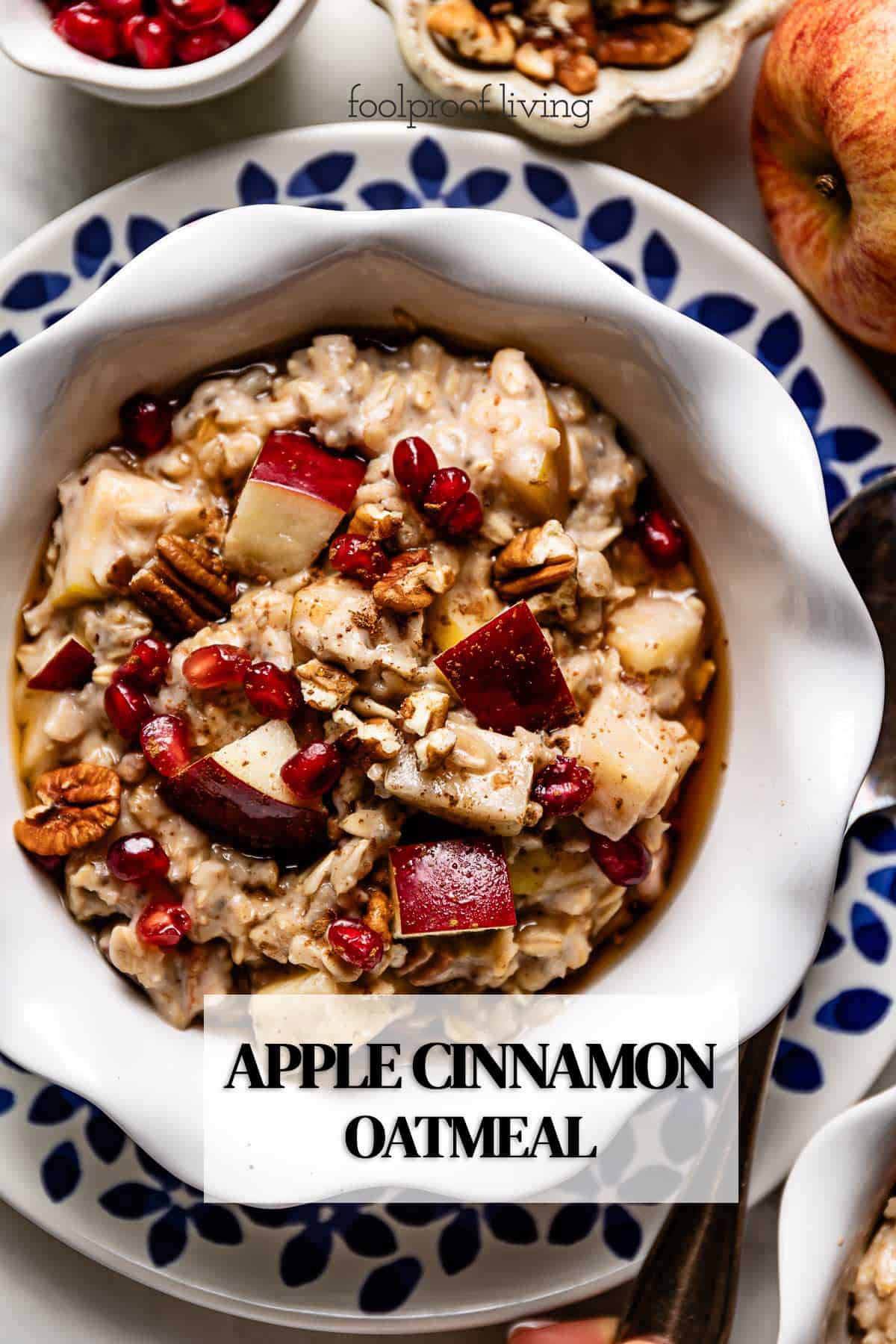 Apple Cinnamon Oatmeal Recipe Easy And Ready In 15 Minutes