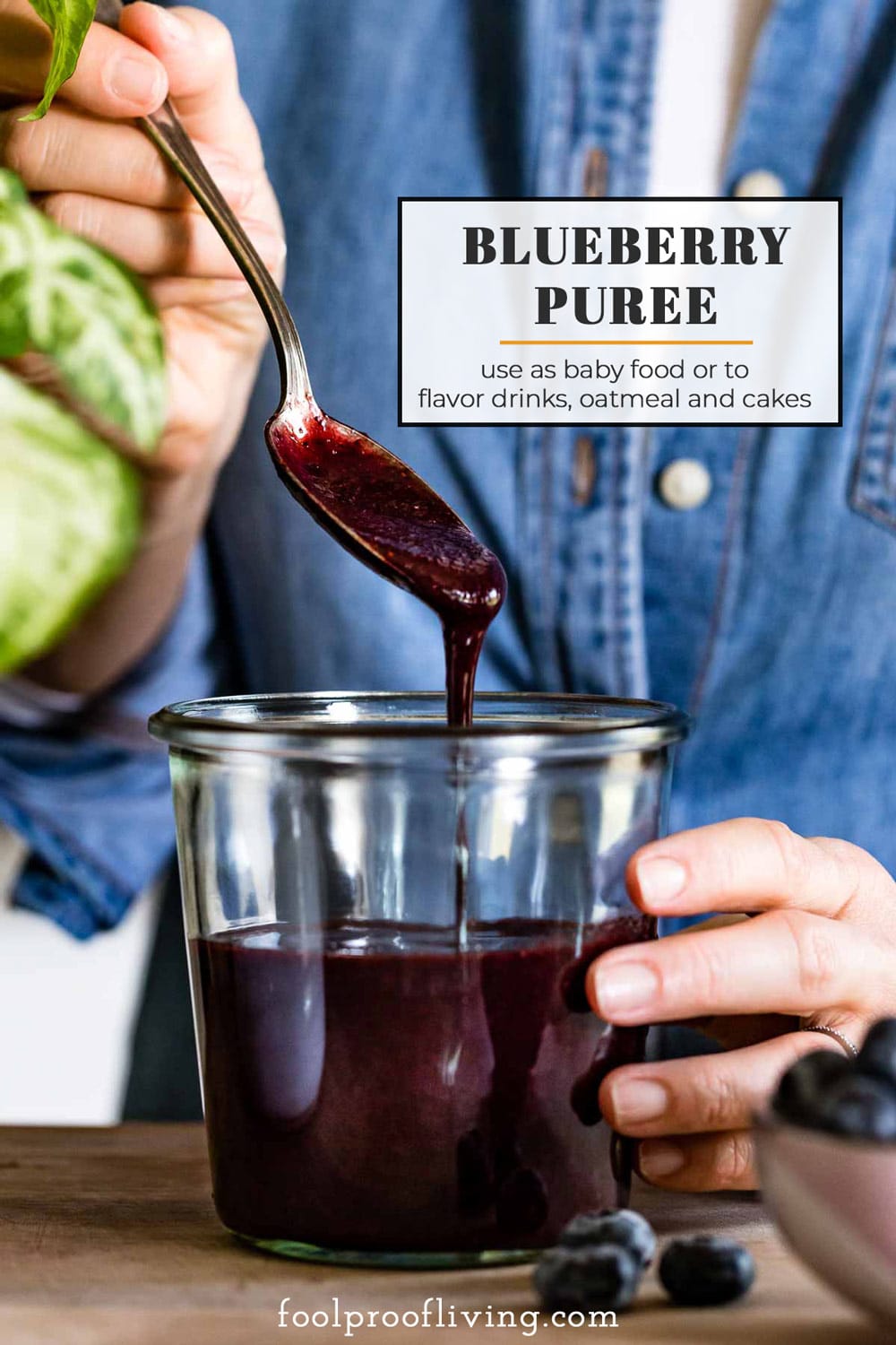 Blueberry Puree Recipe - (No Sugar Added!) - Foolproof Living