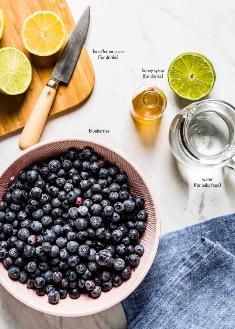 Blueberry Puree Recipe - (No Sugar Added!) - Foolproof Living