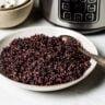 How to Cook Black Rice in Rice Cooker - Foolproof Living