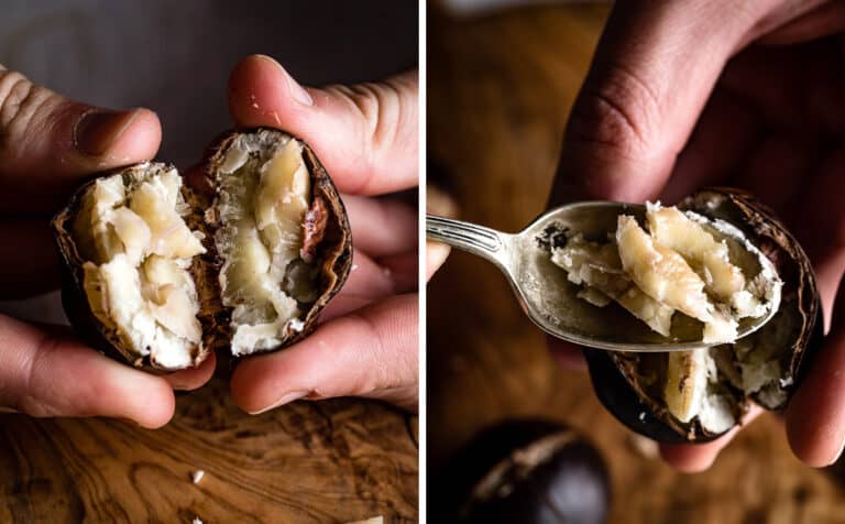Boiled Chestnuts - How To Boil and Peel Chestnuts - Foolproof Living