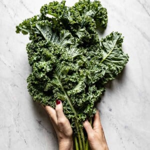 Types of Kale: 7 Common Varieties + How To Use Them