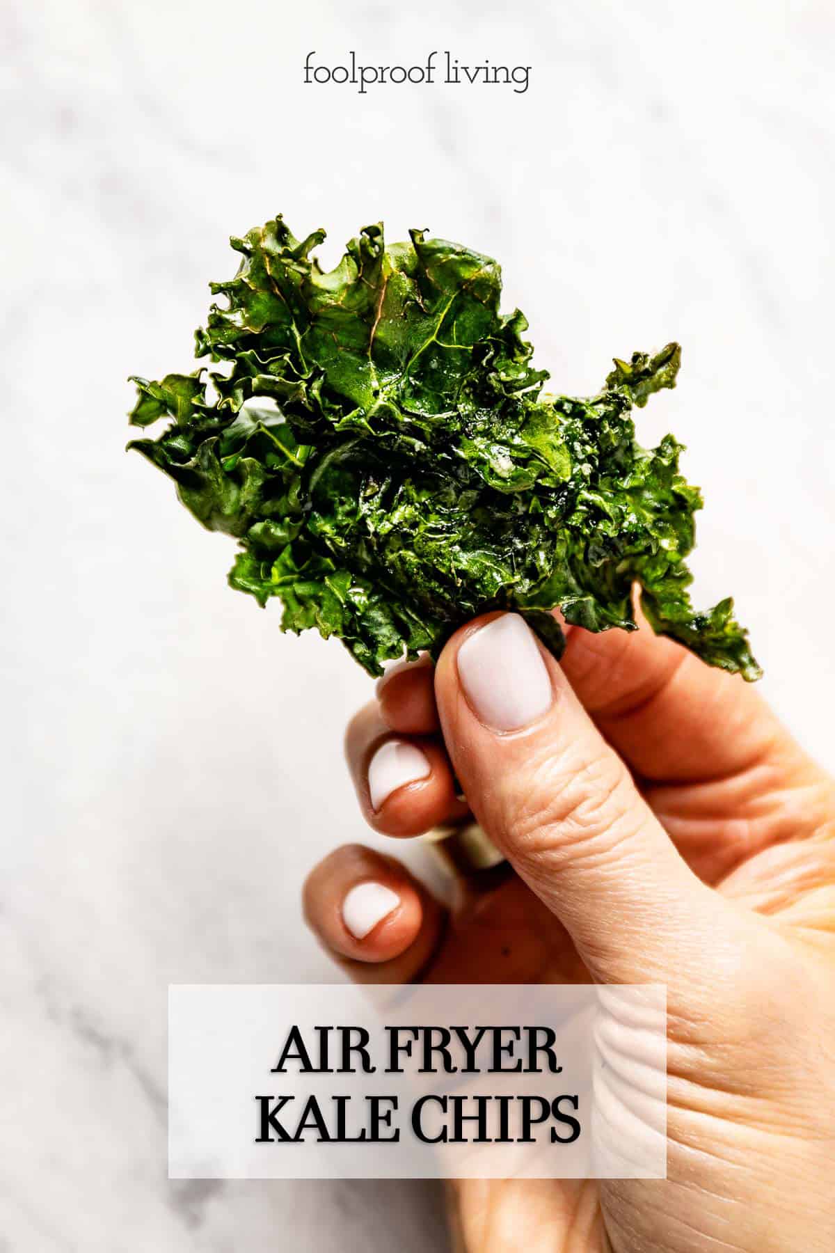 Air Fryer Kale Chips (Easy & Quick Snack) - Foolproof Living