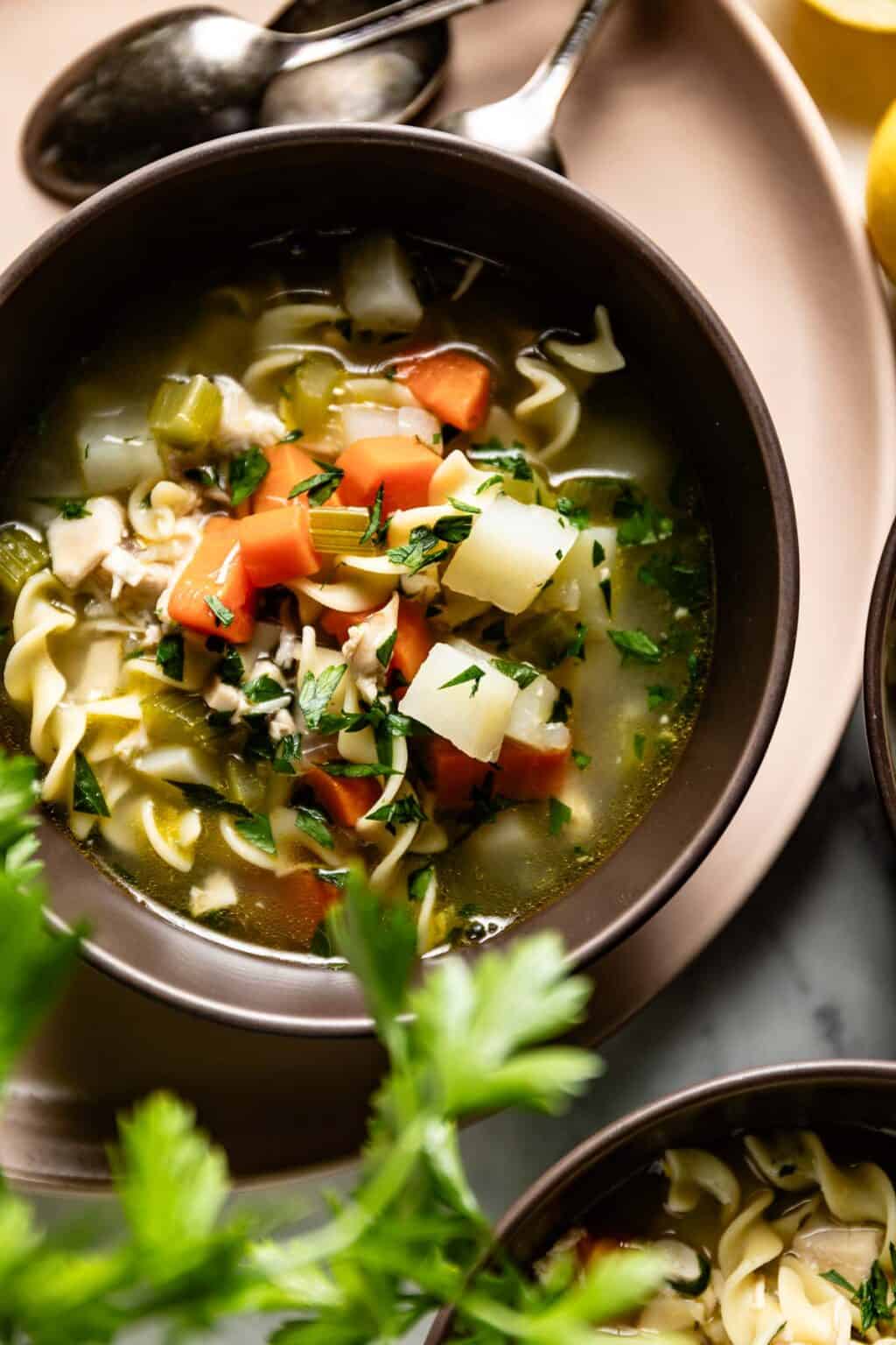 Chicken Noodle Soup with Potatoes - Foolproof Living