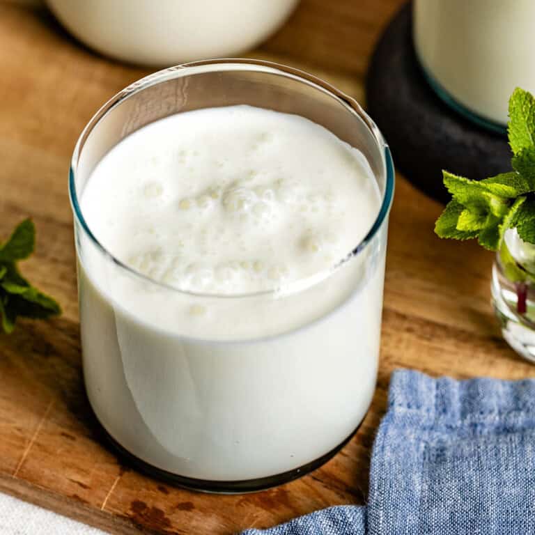 Ayran - Turkish Salty Yogurt Drink (5 Minute Recipe!)