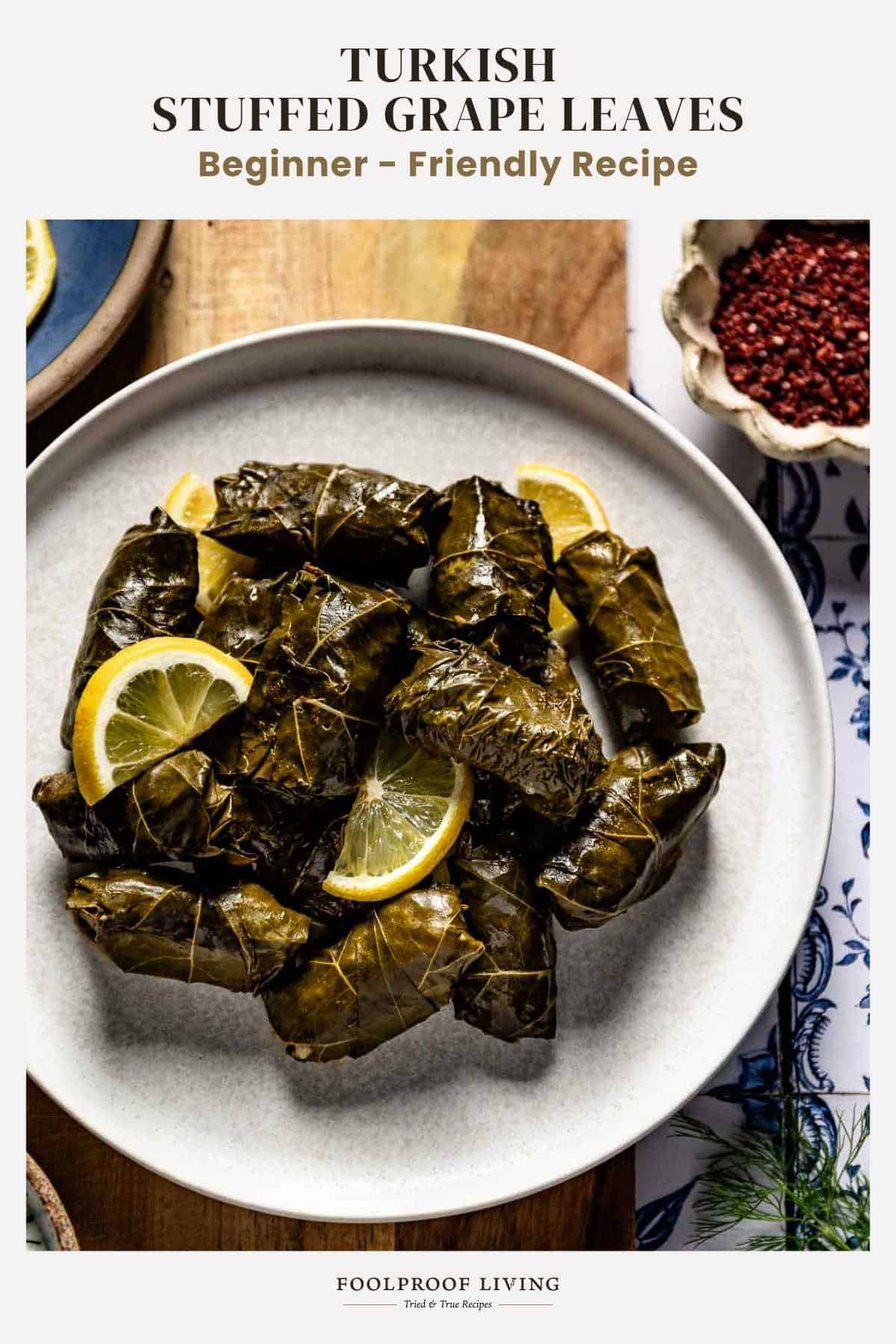 Stuffed Grape Leaves Recipe (Dolmas) with Meat and Rice